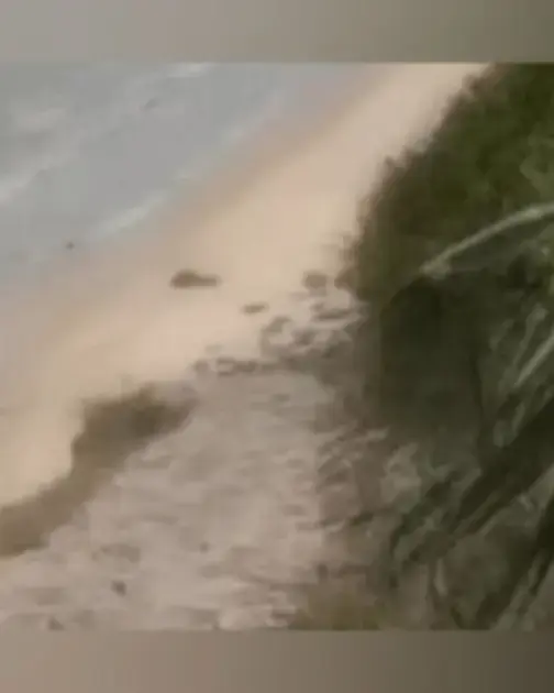 Casal flagrado fazendo ato libidinoso na praia do Seixas